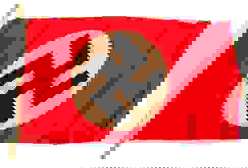 Wwii German Nsdap Flag Auction