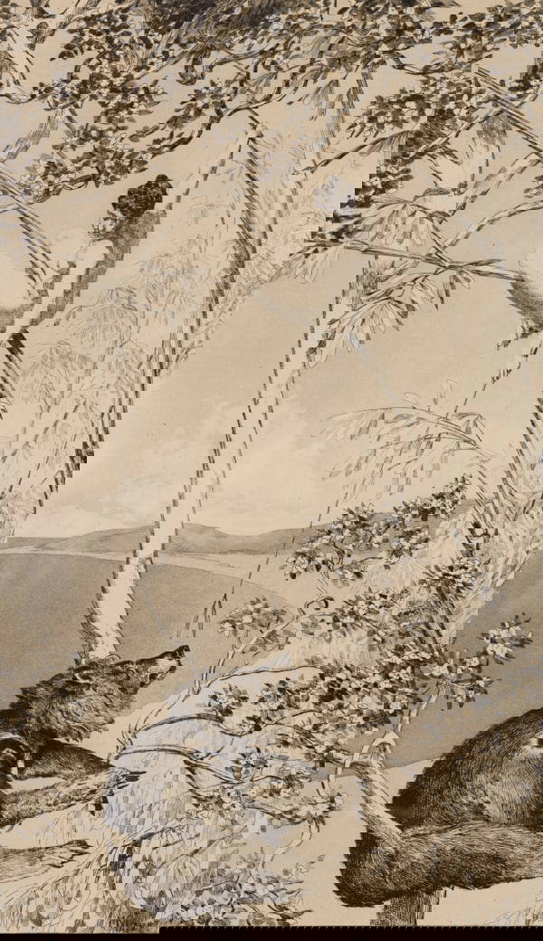 Max Klinger (ger. 1857-1920), Bär Und Elfe (bear And Elf), Etching With ...