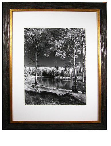 424: Harvey Caplin American (1914-1984) Photographer