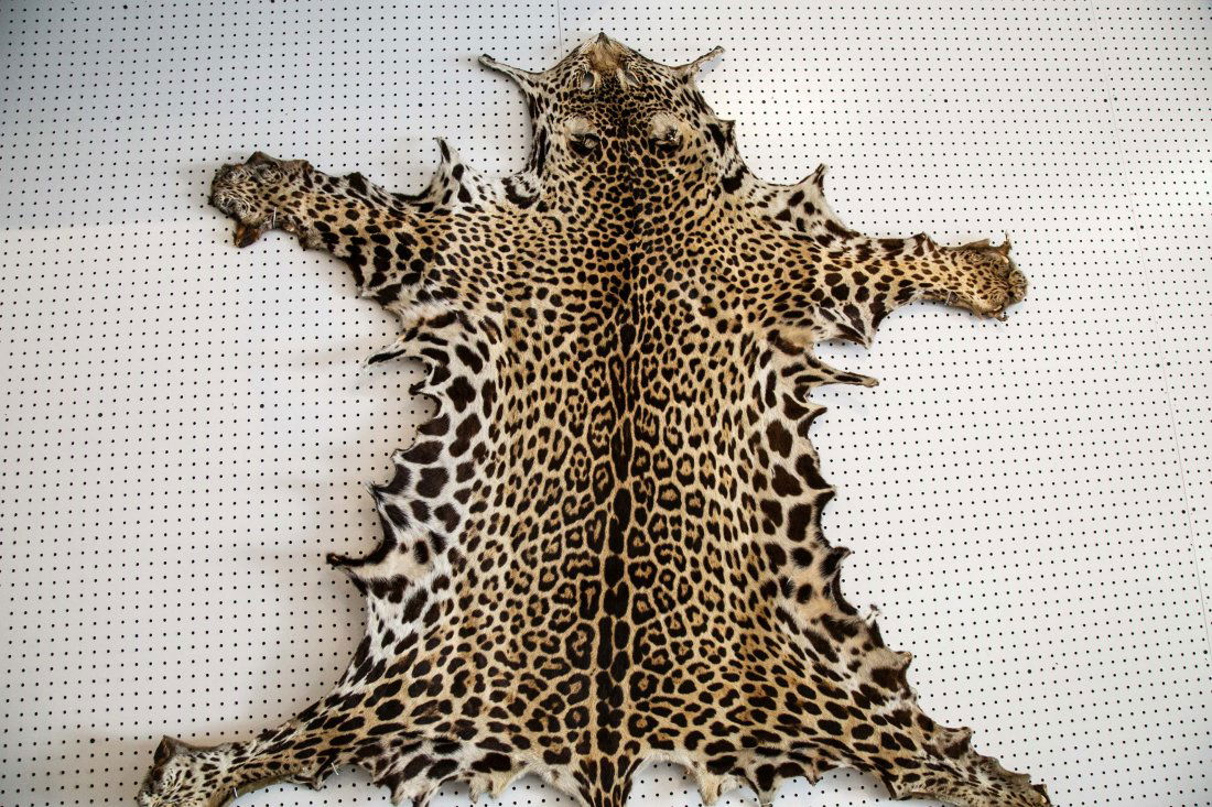 EXOTIC JAGUAR SKIN RUG