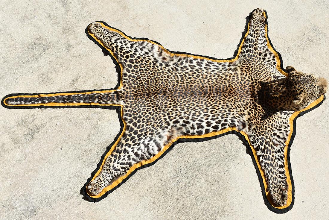 LEOPARD TAXIDERMY PELT