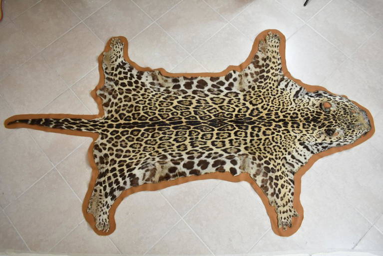Jaguar Hide Pelt