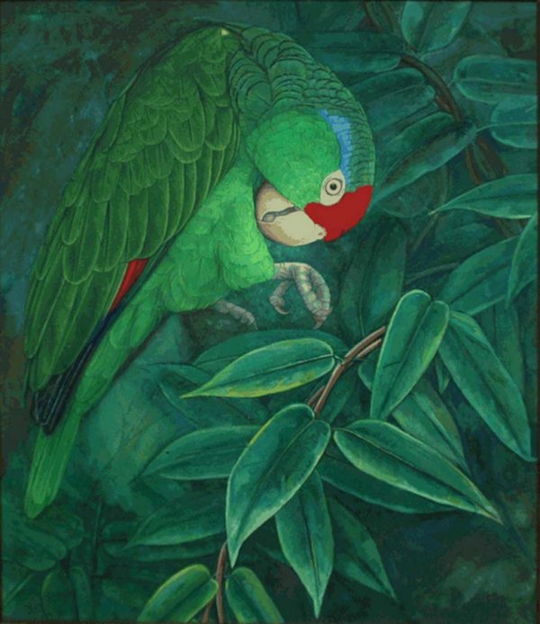 261: ELIZABETH BUTTERWORTH (English. Born 1949)