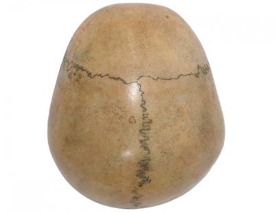 Tibetan Ritual Kapala Skull