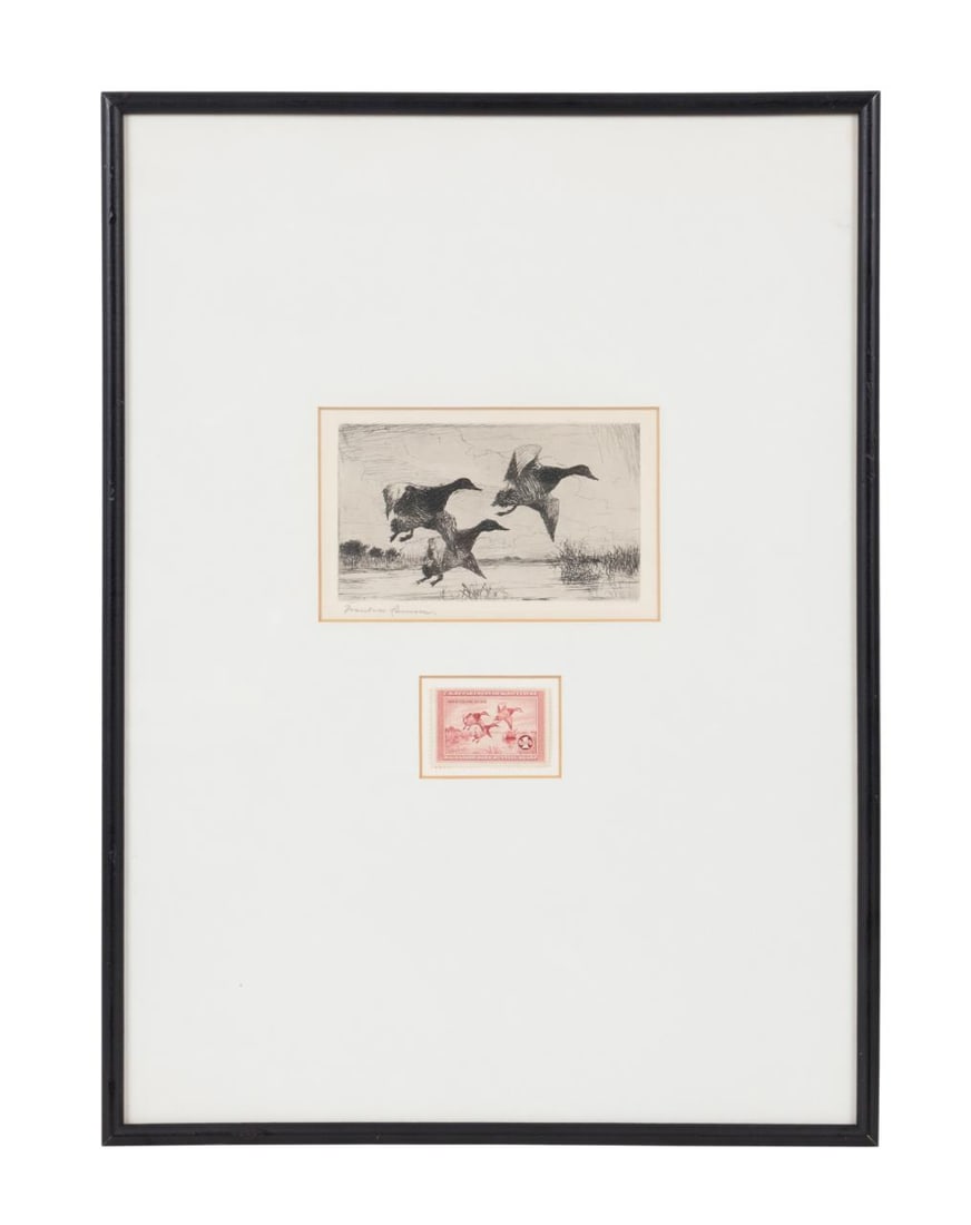 1935 Federal Duck Stamp Print And Stamp Framed Auction