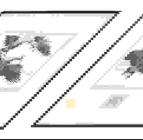 1944 Federal Duck Stamp 2nd Print & Stamp Framed Auction