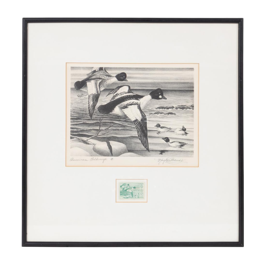 1949 Federal Duck Stamp Print And Stamp In Frame Auction