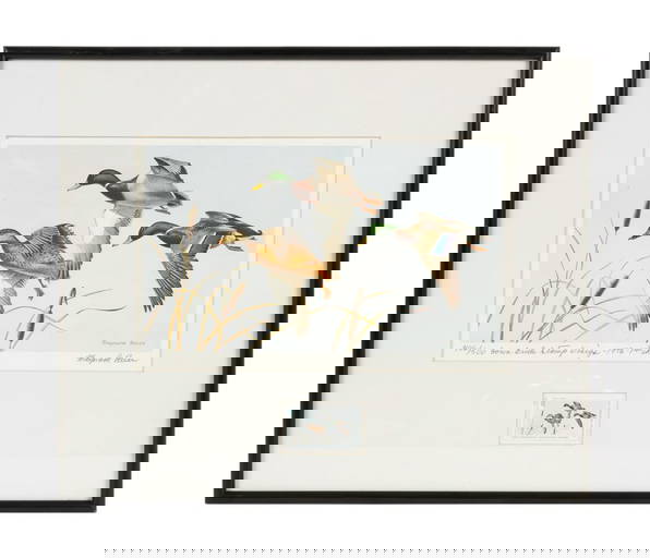 1972 Iowa State Duck Stamp Print And Stamp Framed