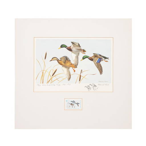 1972 Iowa State Duck Stamp Print Remarqued 2 Ducks