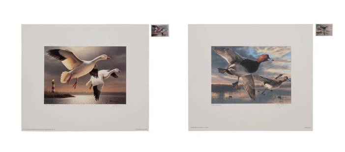 28 State Duck Stamp Prints With Stamps In Folders Auction