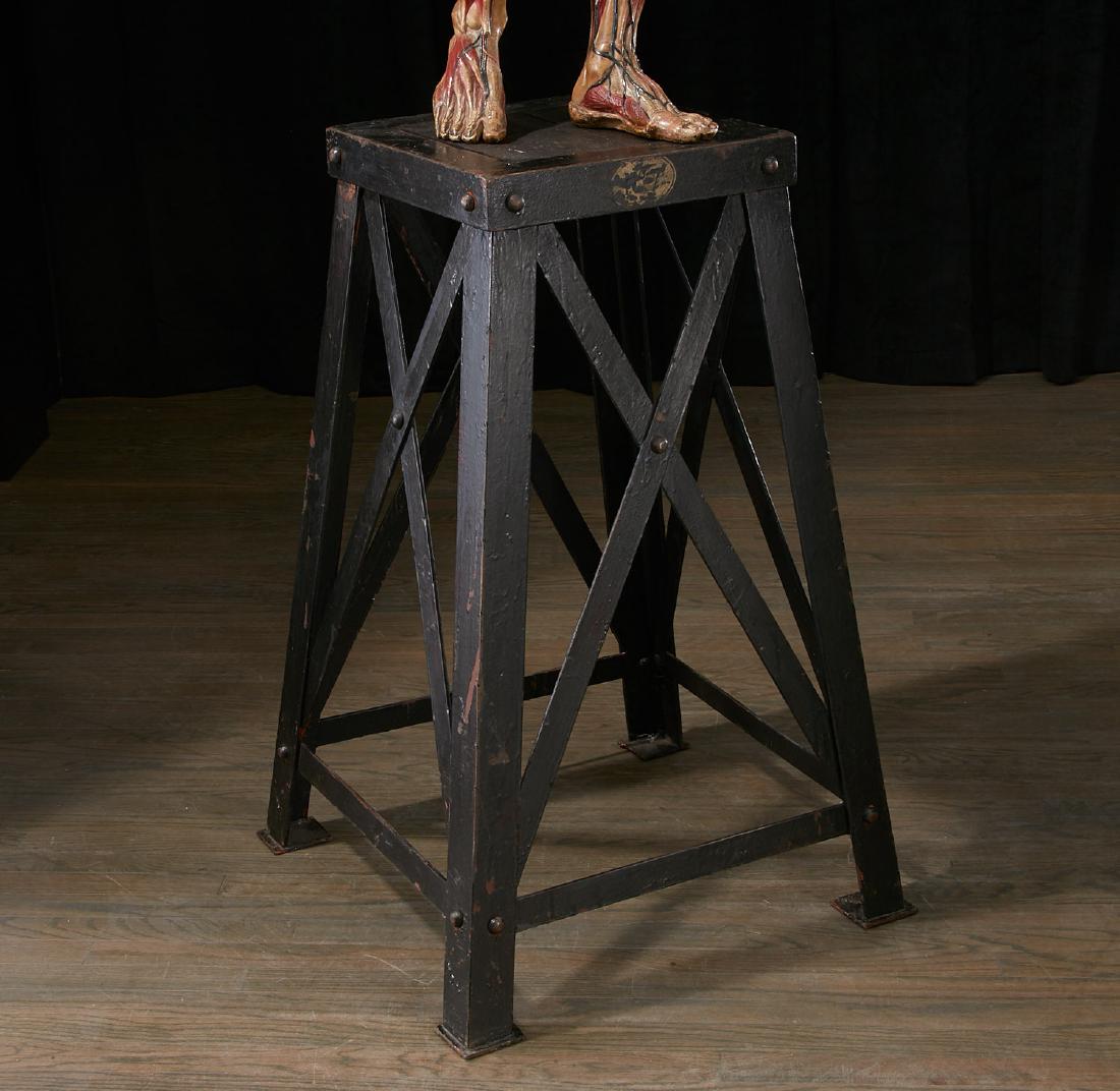 Life-size anatomical model of human body on stand