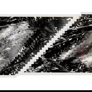 Robert Gober, Photograph, Artist's Proof Auction