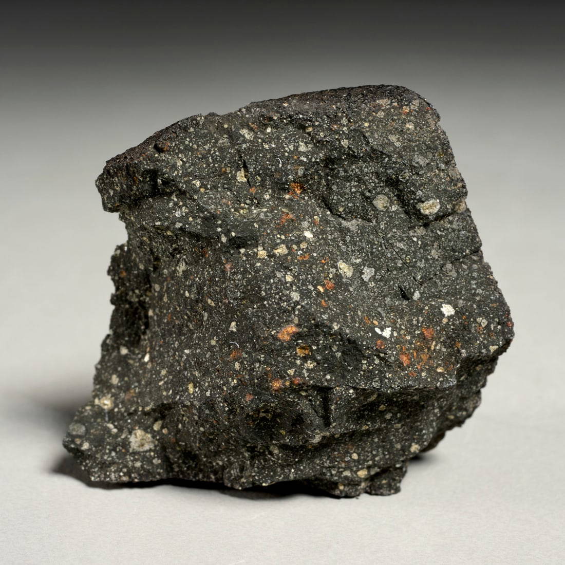 Murchison Meteorite, Cm2 Victoria, Australia Auction