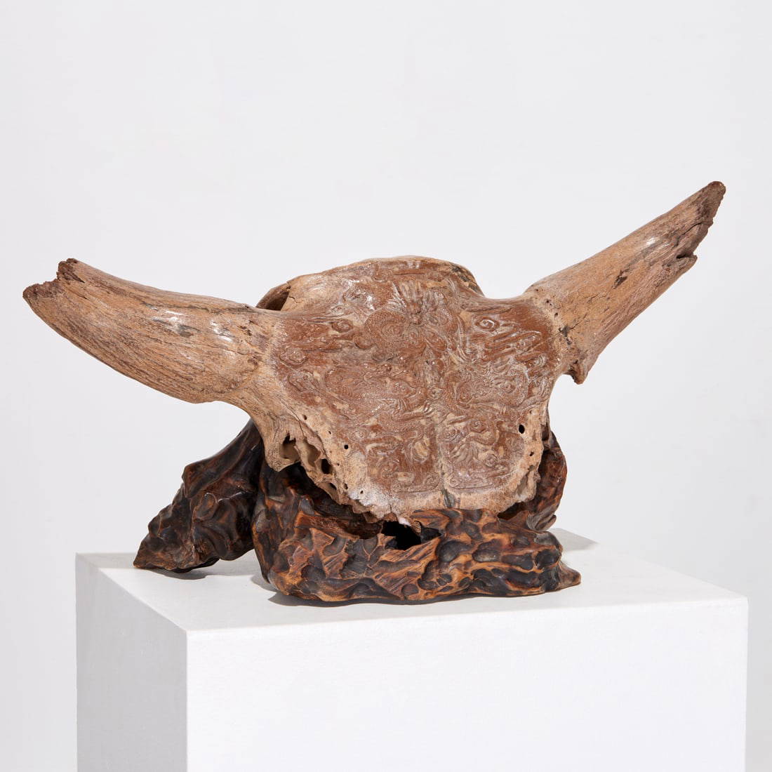 Fossilized Bison Crown With Chinese Carving Auction