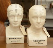 (2) Fowler style ceramic Phrenology heads See Sold Price