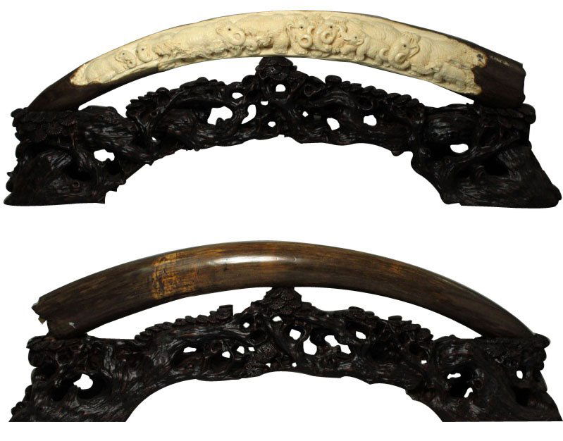 Mammoth Ivory Handcrafted Woolly Mammoth Tusk Carving