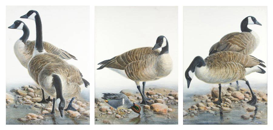 Amy Brackenbury, (american, Born 1953), Duck Triptych,