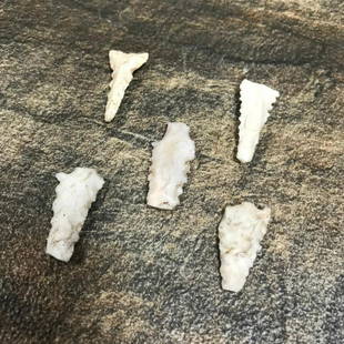 20 Prehistoric Neolithic Points From The Sahara Desert Arrowheads