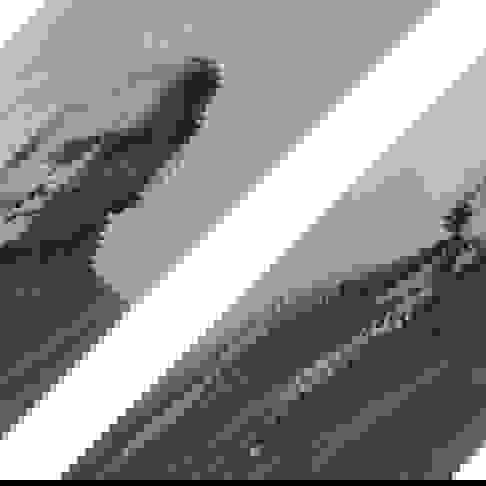 Native American History, Geronimo Photo Print Auction