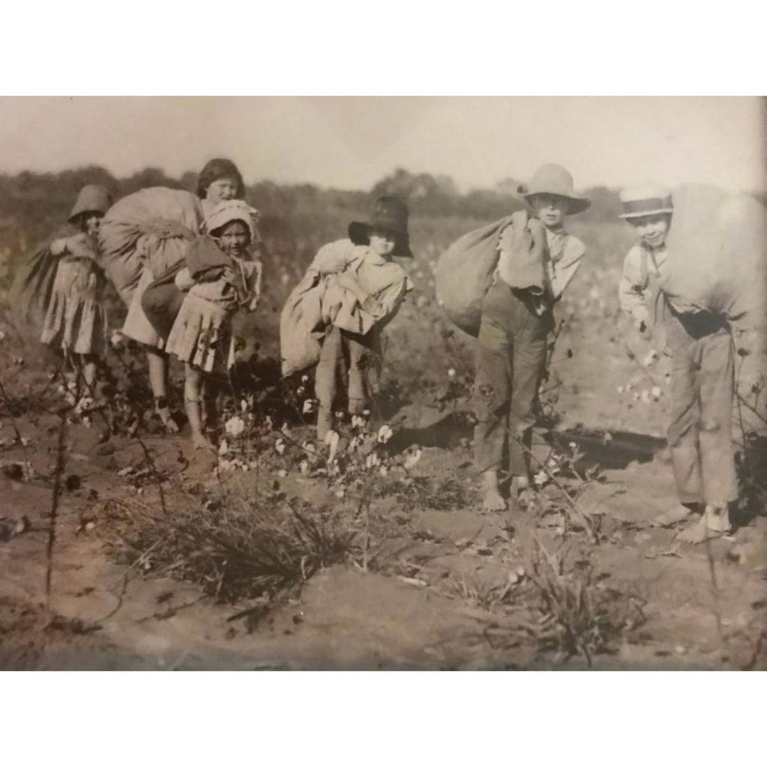Early 1900's Alabama Cotton Pickers Framed Photo Auction