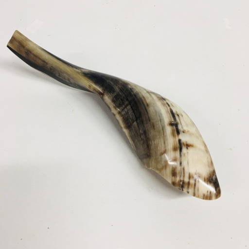Antique Conch Shell Horn Call To Prayer