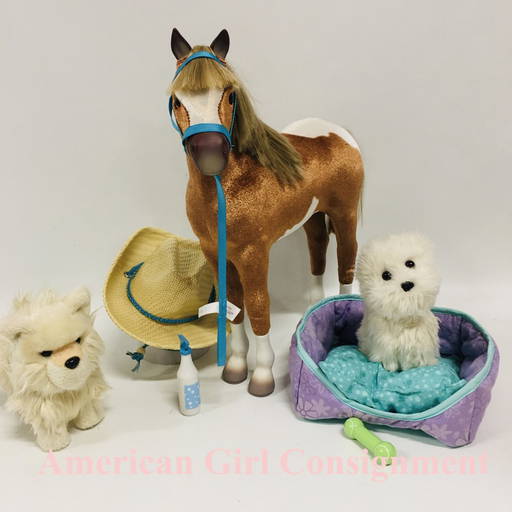 American Girl Doll Pets Paint Filly and Dogs - Aug 24, 2022 | Raia ...