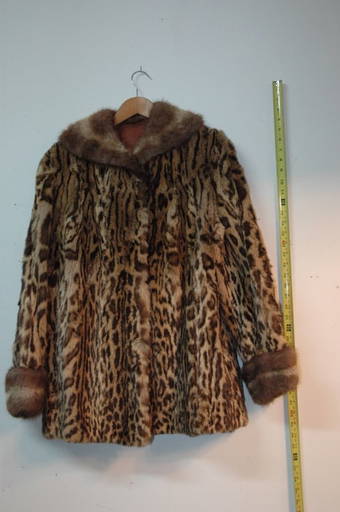 Leopard & Fur Coat