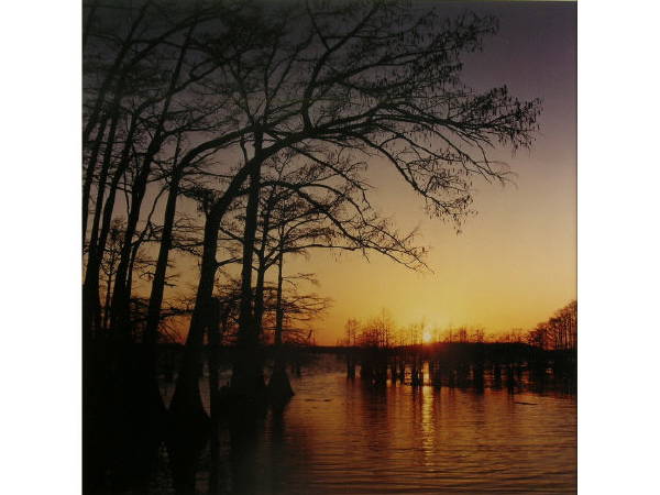 Tom Kilty Photograph Caddo Lake, East Texas