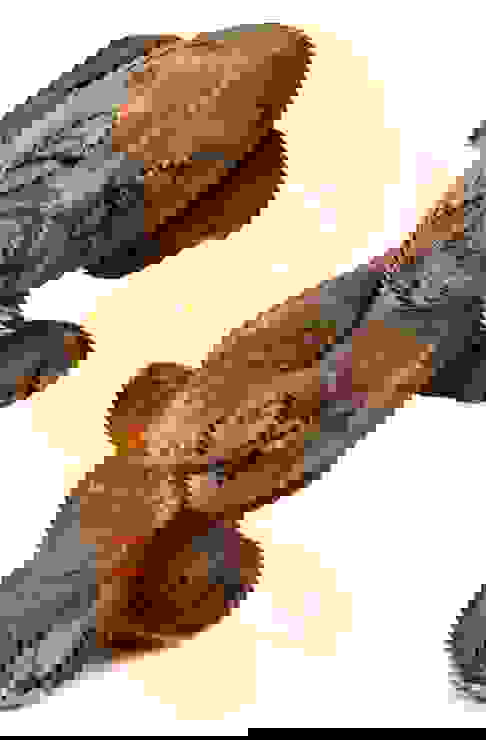 Chad Valley Bonzo, Sitting, Velvet With Airbrush Face, With Original ...