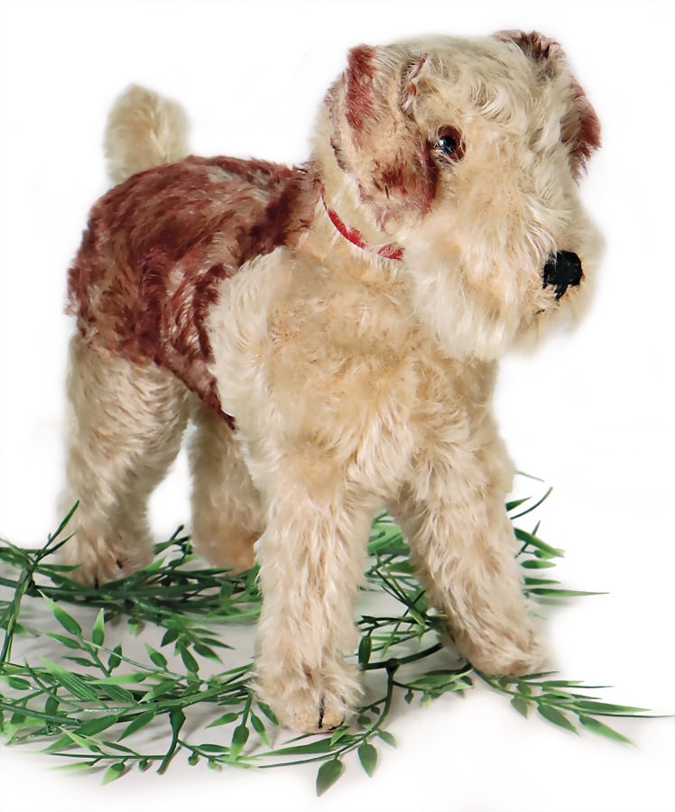 Steiff Terrier, Probably First Version Of The Dog Fellow, From The Time ...