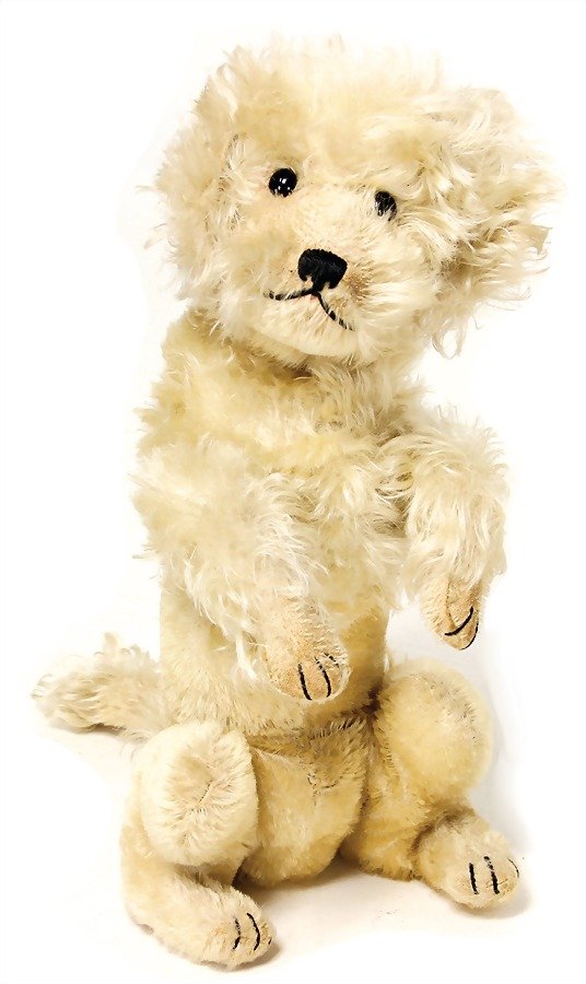 STEIFF poodle, produced 1929, with button and red cloth