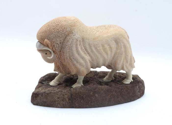 Vitaliy Martynets Carved Whale Bone Musk Ox