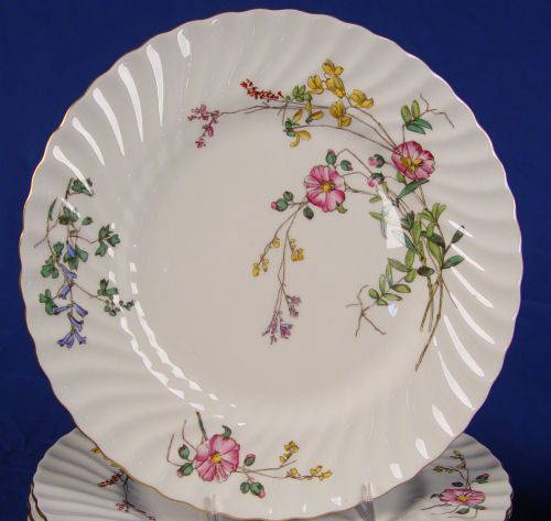 64 Pc Minton Daisy Sprays Bone China Service For 10