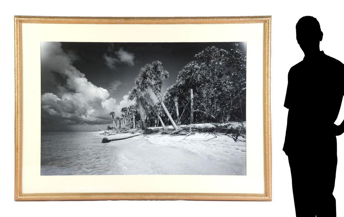 Large Format Clyde Butcher Florida Photograph Caya