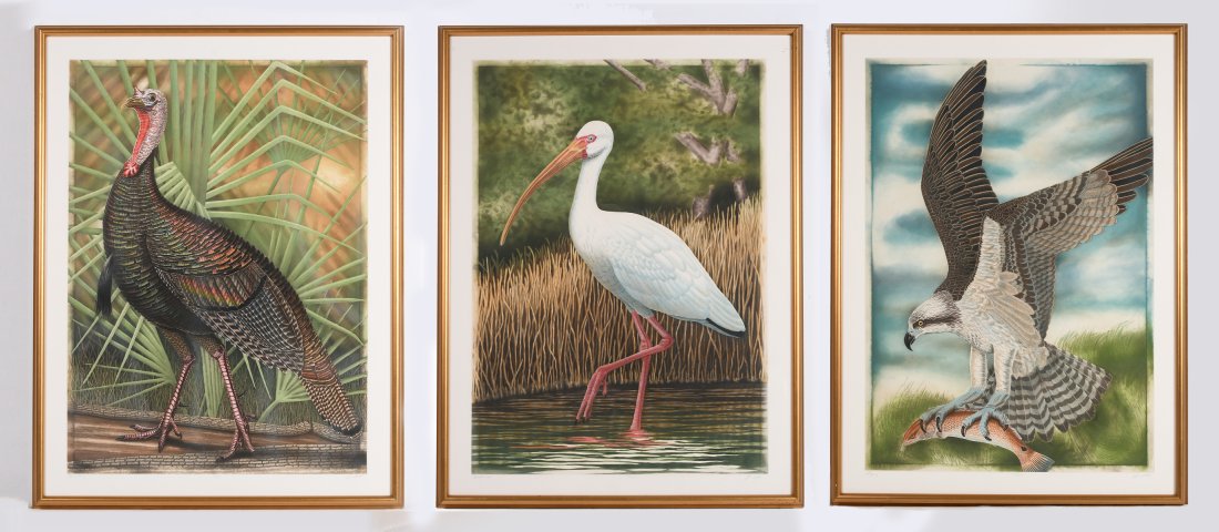 Three John Costin Florida Bird Etchings