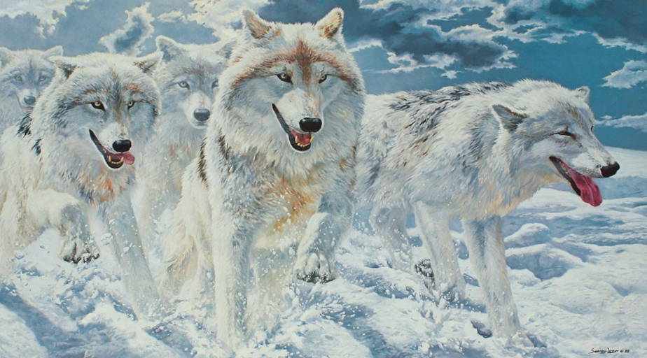 Seerey Lester Timber Wolf Limited Edition Print