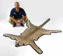 TAXIDERMY AFRICAN LEOPARD RUG MOUNT - Apr 21, 2013 | Burchard Galleries ...