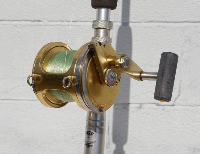 Fin Nor Tycoon Golden Regal 30 Reel & Fenwick Rod