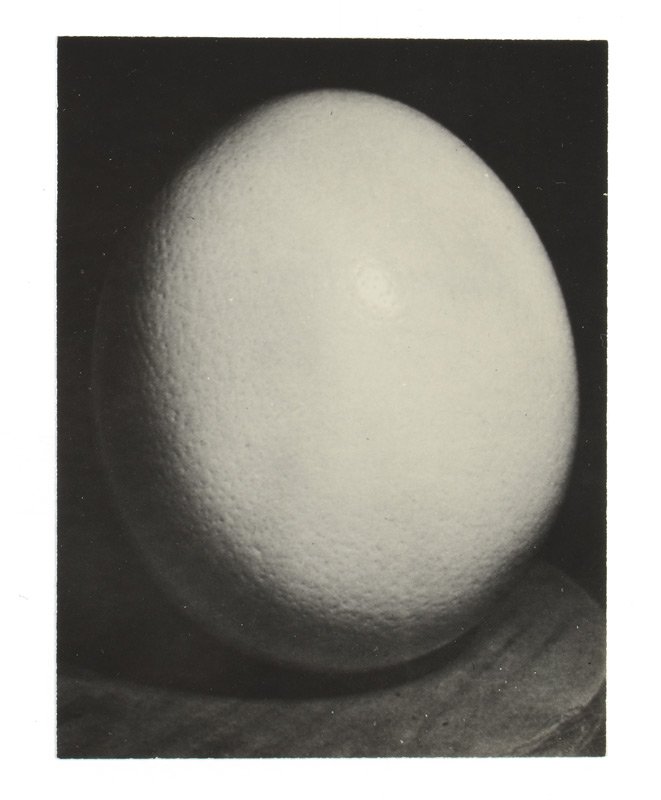OSTRICH EGG PHOTOGRAPH MAN RAY? - Jul 20, 2014 | Burchard Galleries Inc ...