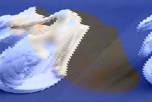 1422: HEREND HUNGARIAN PORCELAIN LEDA and the SWAN NUDE