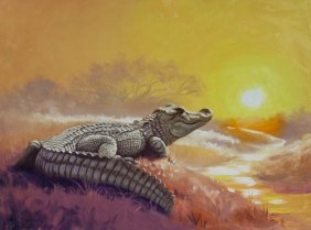 Taxidermy American Albino Alligator : Lot 24