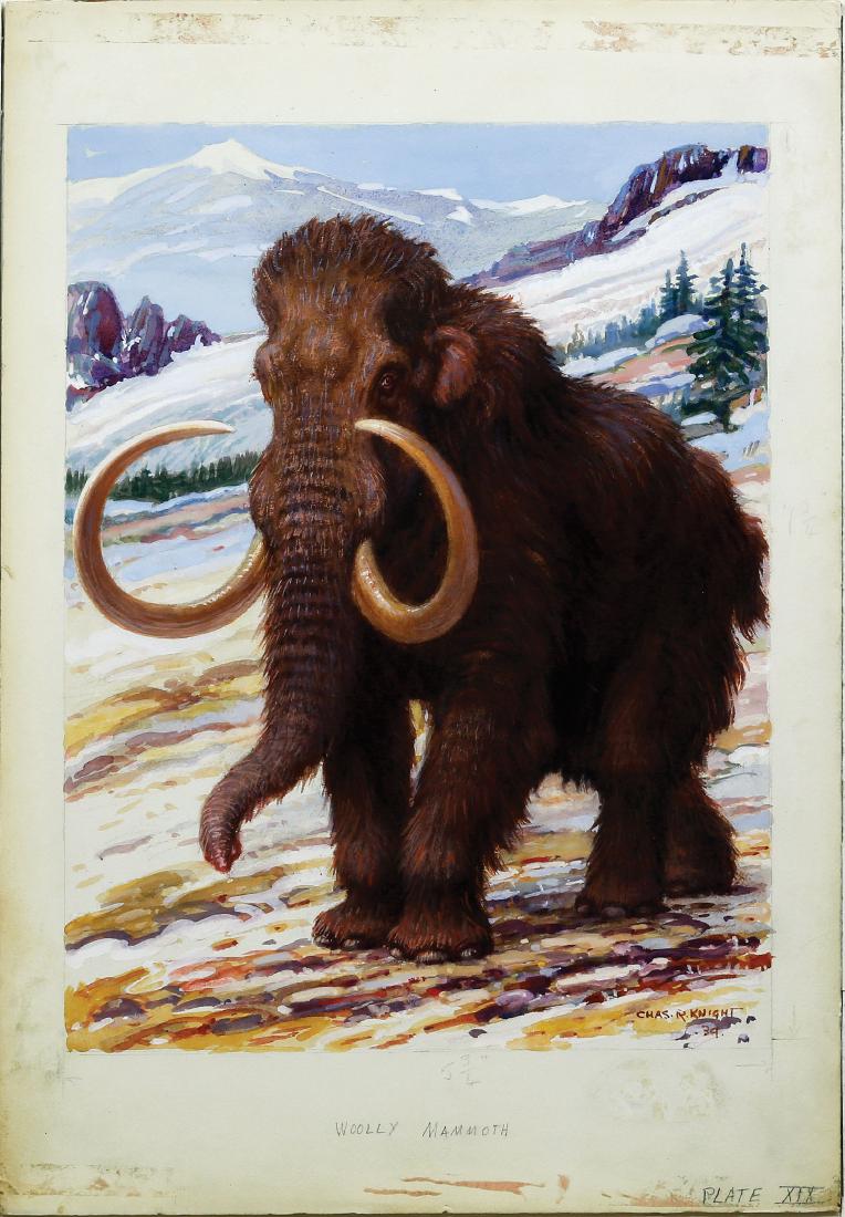Charles Knight Original Watercolor Woolly Mammoth