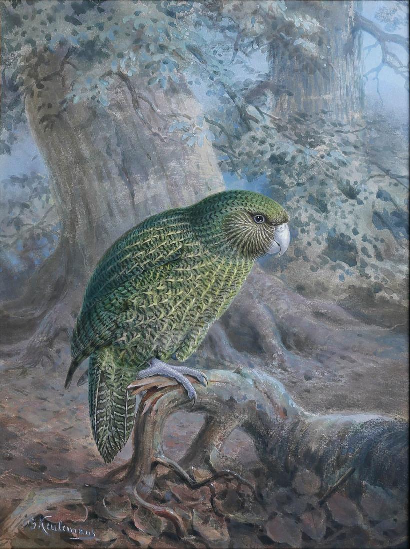 Keulemans original watercolor - Jan 26, 2019 | Arader Galleries in NY