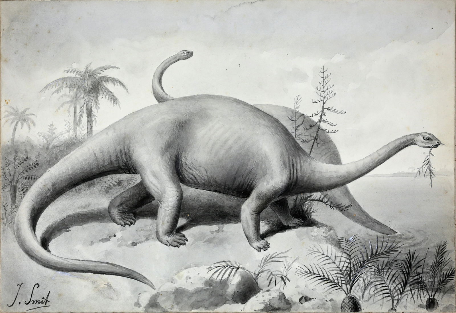 Smit Original Early Drawing of a Brontosaurus - Ushing - Mar 27, 2021 ...