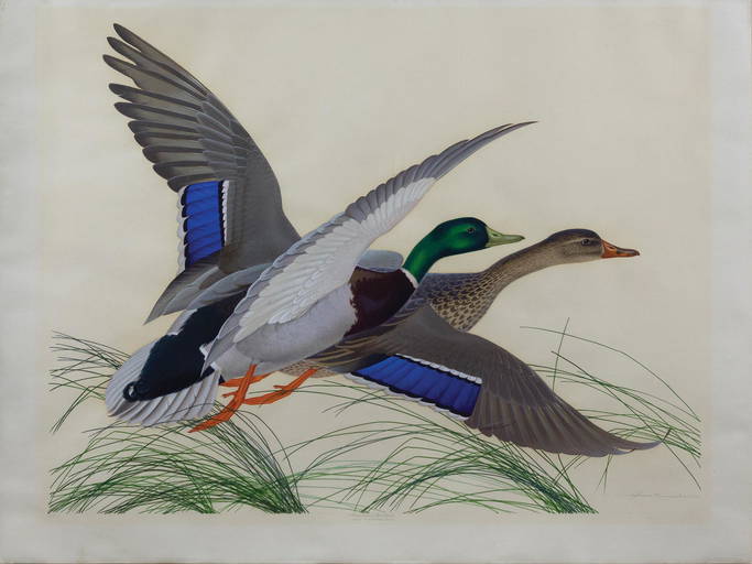 Menaboni Original Watercolor Of Mallard Ducks