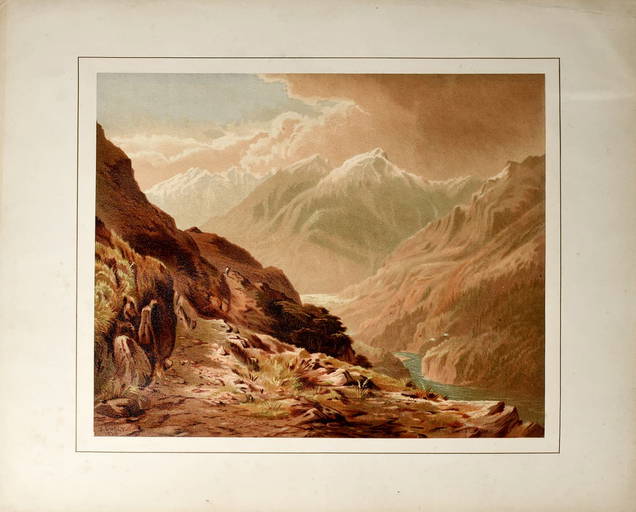 Gully New Zealand Chromolithograph, Wairau Gorge