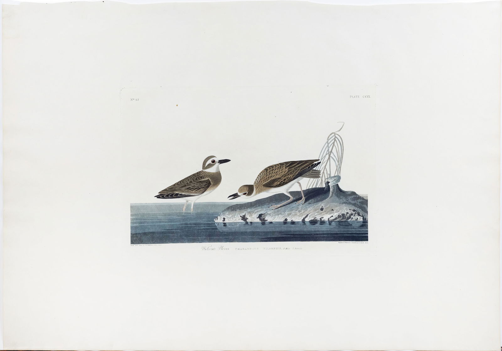 Arader Galleries February 2025 Auction starts on 2/1/2025