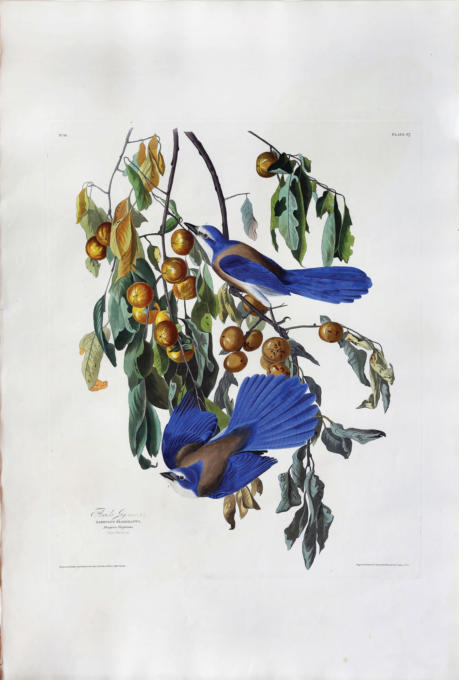 Arader Galleries June 14 2025 Auction starts on 6/14/2025