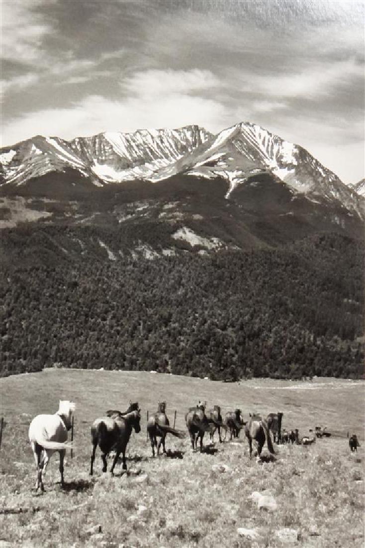 Barbara Van Cleve, (American, b. 1935), Heading Home,
