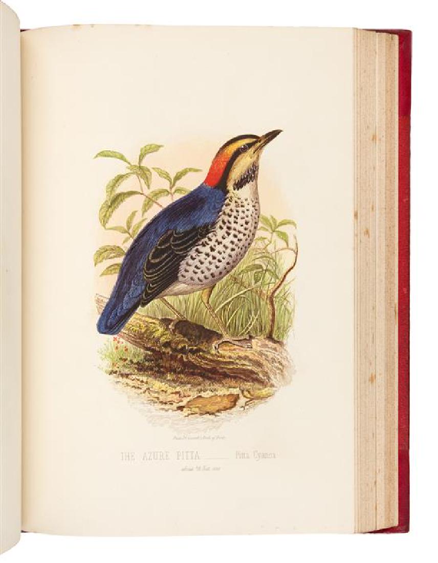 * [NATURAL HISTORY]. JONES, Thomas Rymer (1810-1880).